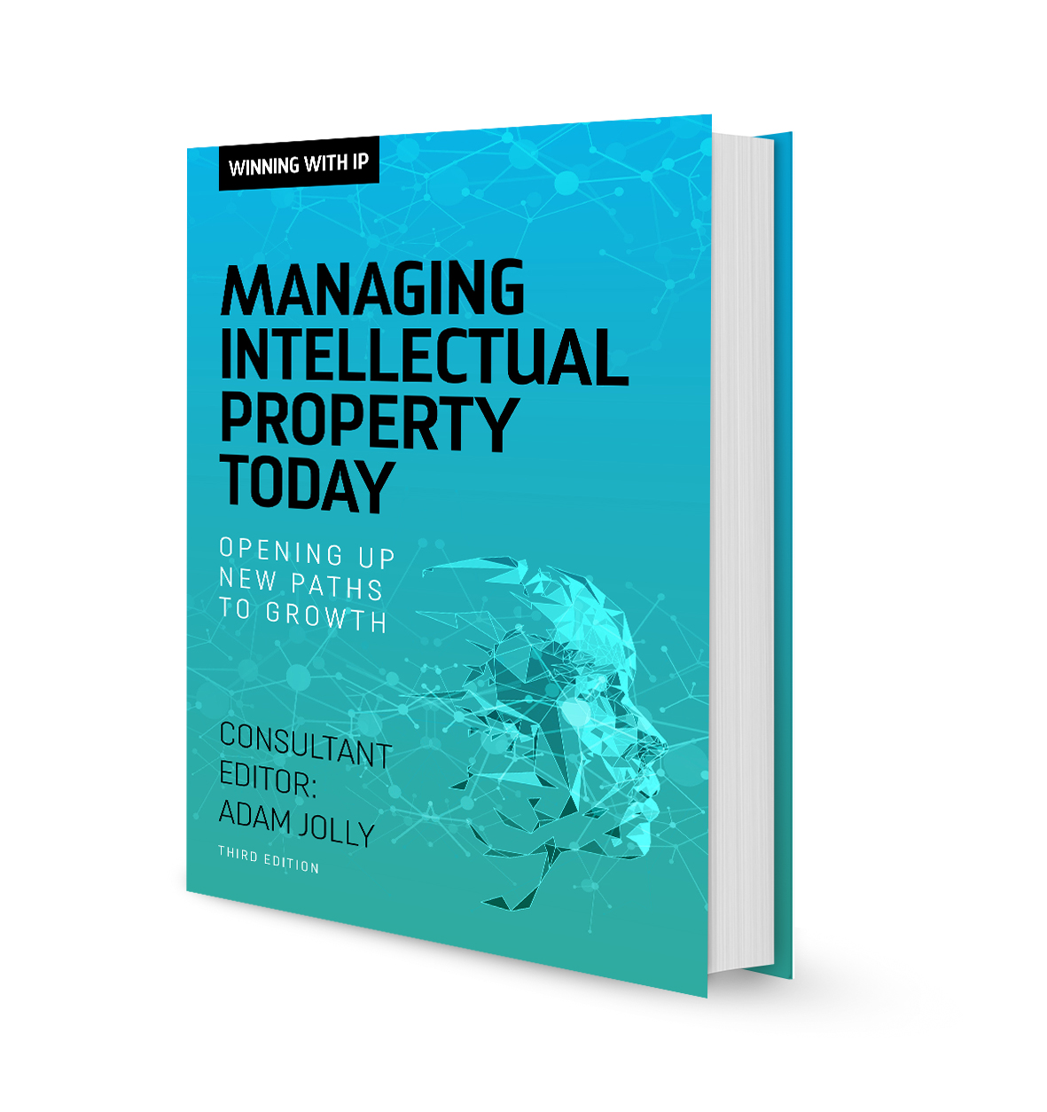 HGF book chapter - 'Winning with IP: Managing Intellectual Property ...