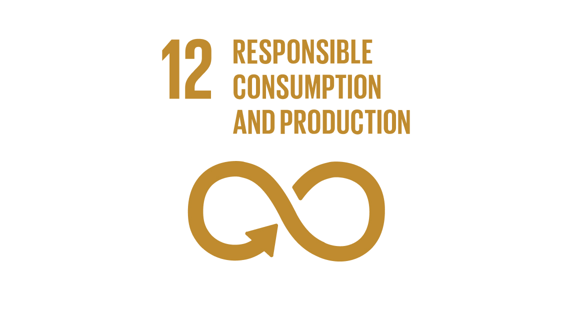 SDG12 - Responsible Consumption and Production - HGF